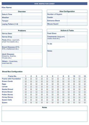 Beekeeping - Hive Records - A Simple Life of Luxury