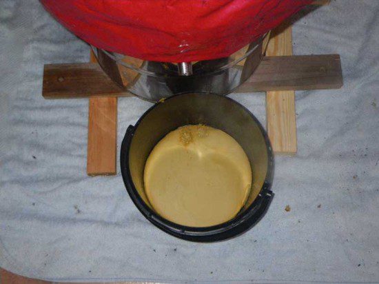 Wax Extraction - A Simple Life of Luxury