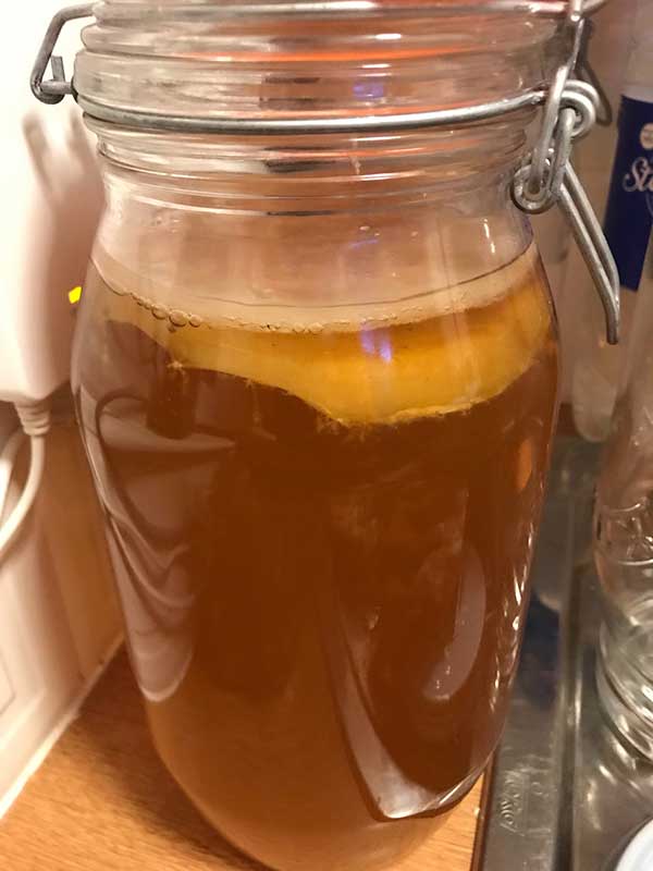 Kombucha Brewing - A Simple Life of Luxury