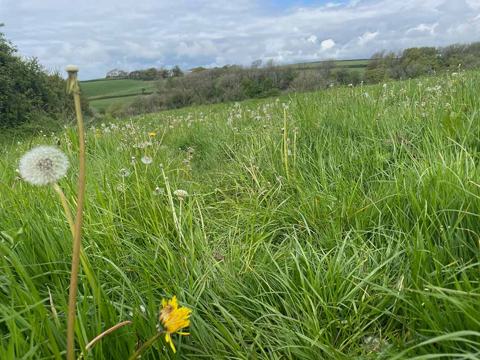 Wales Coast Path Run - Burry Port to Ferryside - A Simple Life of Luxury