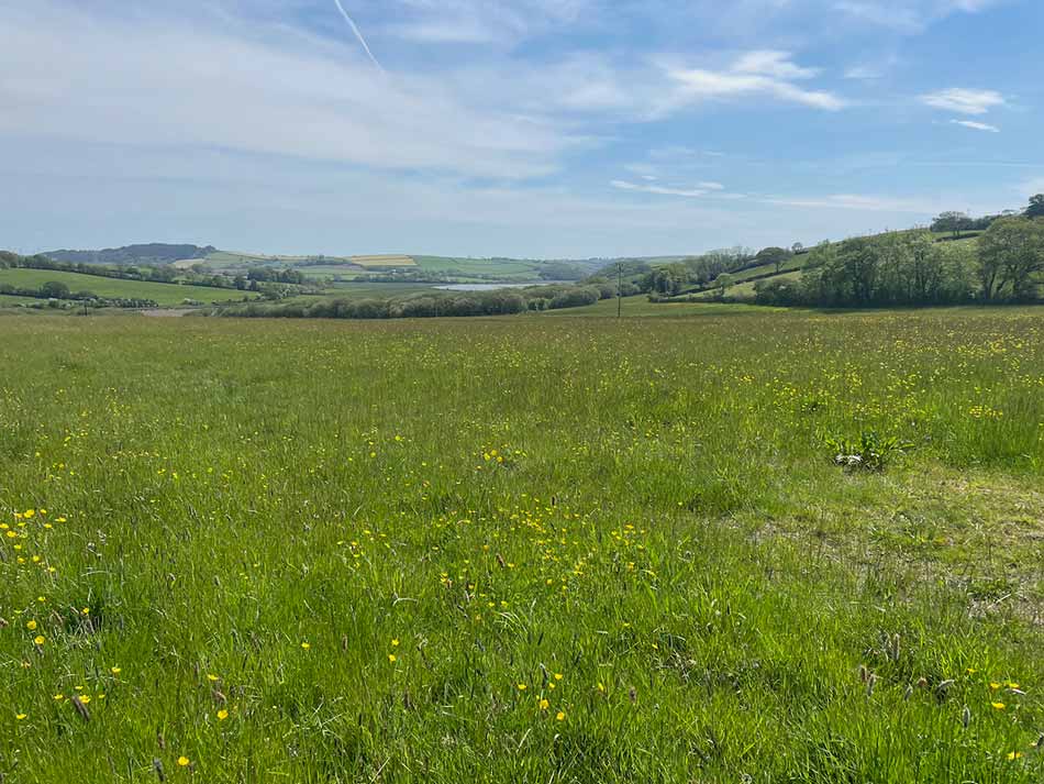 Wales Coast Path Run - Llansteffan to Laugharne - A Simple Life of Luxury