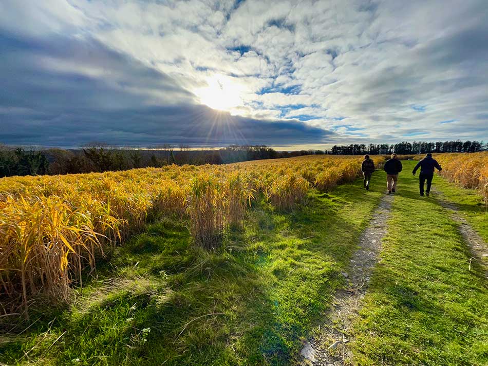 A Tour of our Fields - A Simple Life of Luxury